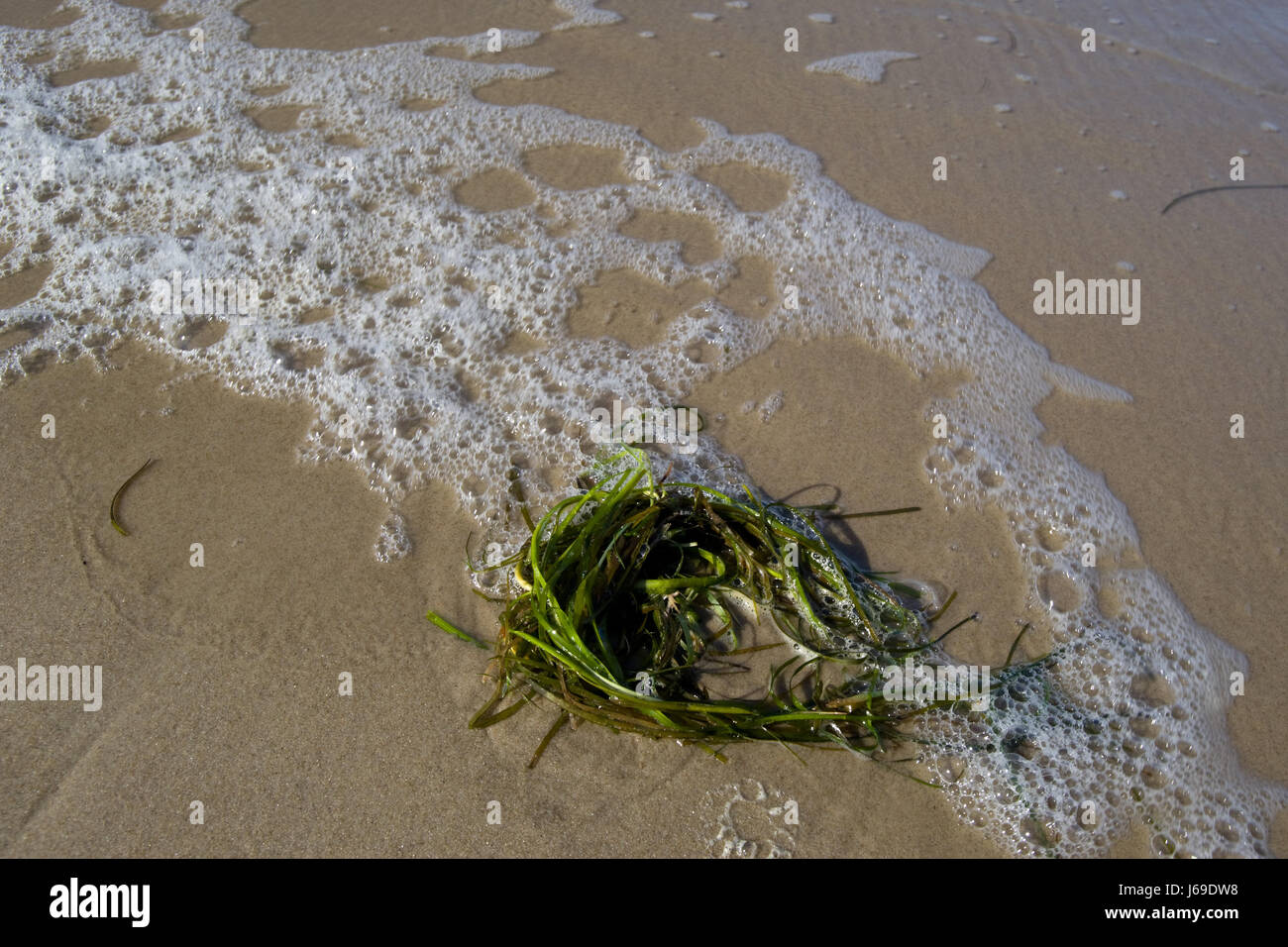 day at the seaside 02 Stock Photo - Alamy