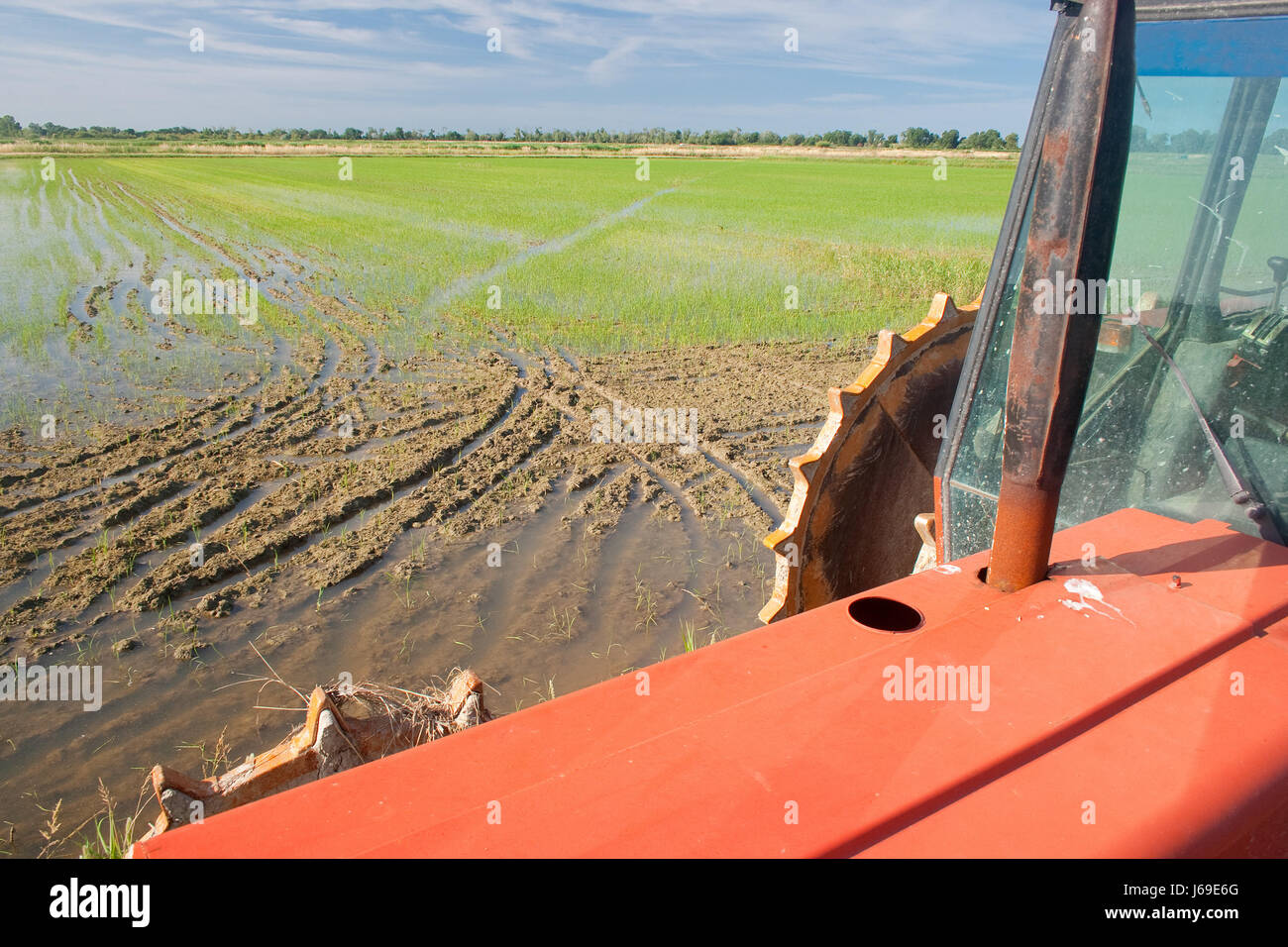 engine drive motor agriculture farming paddy field tractor rice plant ...