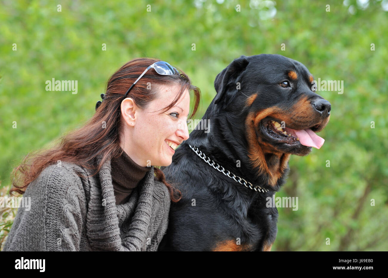 Big dog and woman hi-res stock photography and images - Alamy