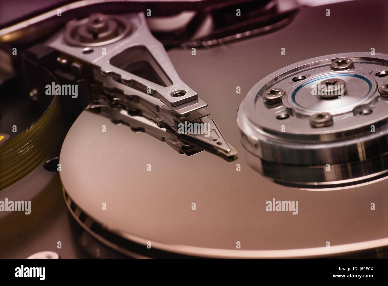 detail component computers computer soft repair purple violet ...