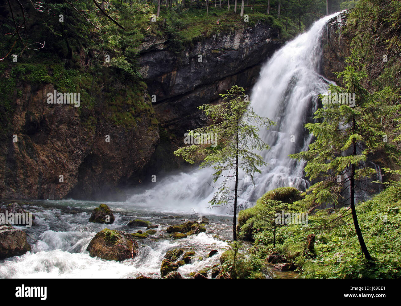 tree trees waterfall drop tear down mountain scenery countryside nature ...