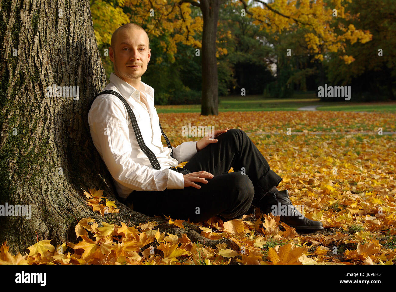 tree leaves ajar put sitting sit leaned foliage man fall autumn laugh ...