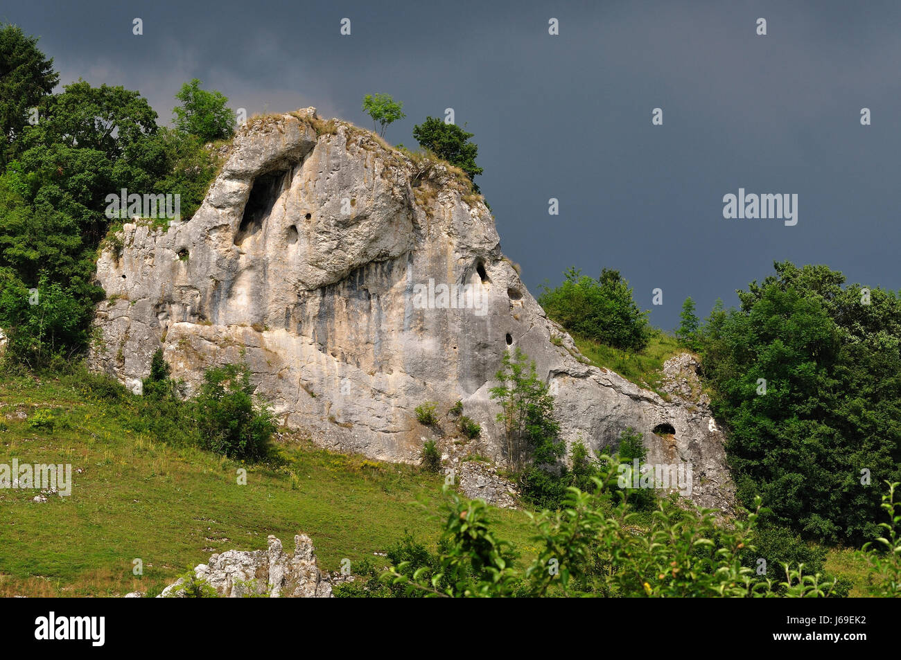 rock heath limestone tree trees stone leaves hike go hiking ramble ...