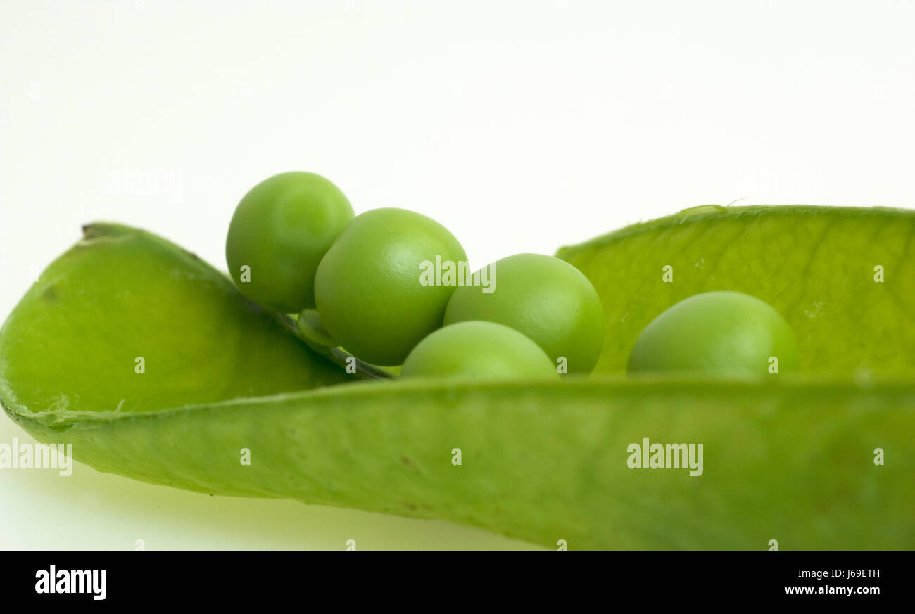peas leguminous plants boil cooks boiling cooking peas vegetarian pod ...