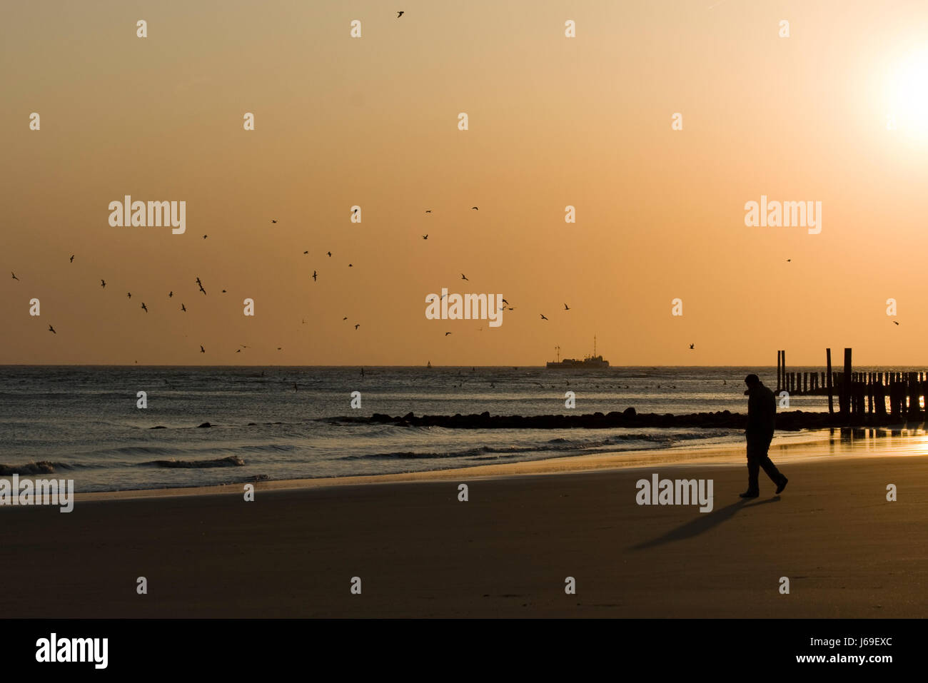 sad beach seaside the beach seashore solitary walk go for a walk man ...