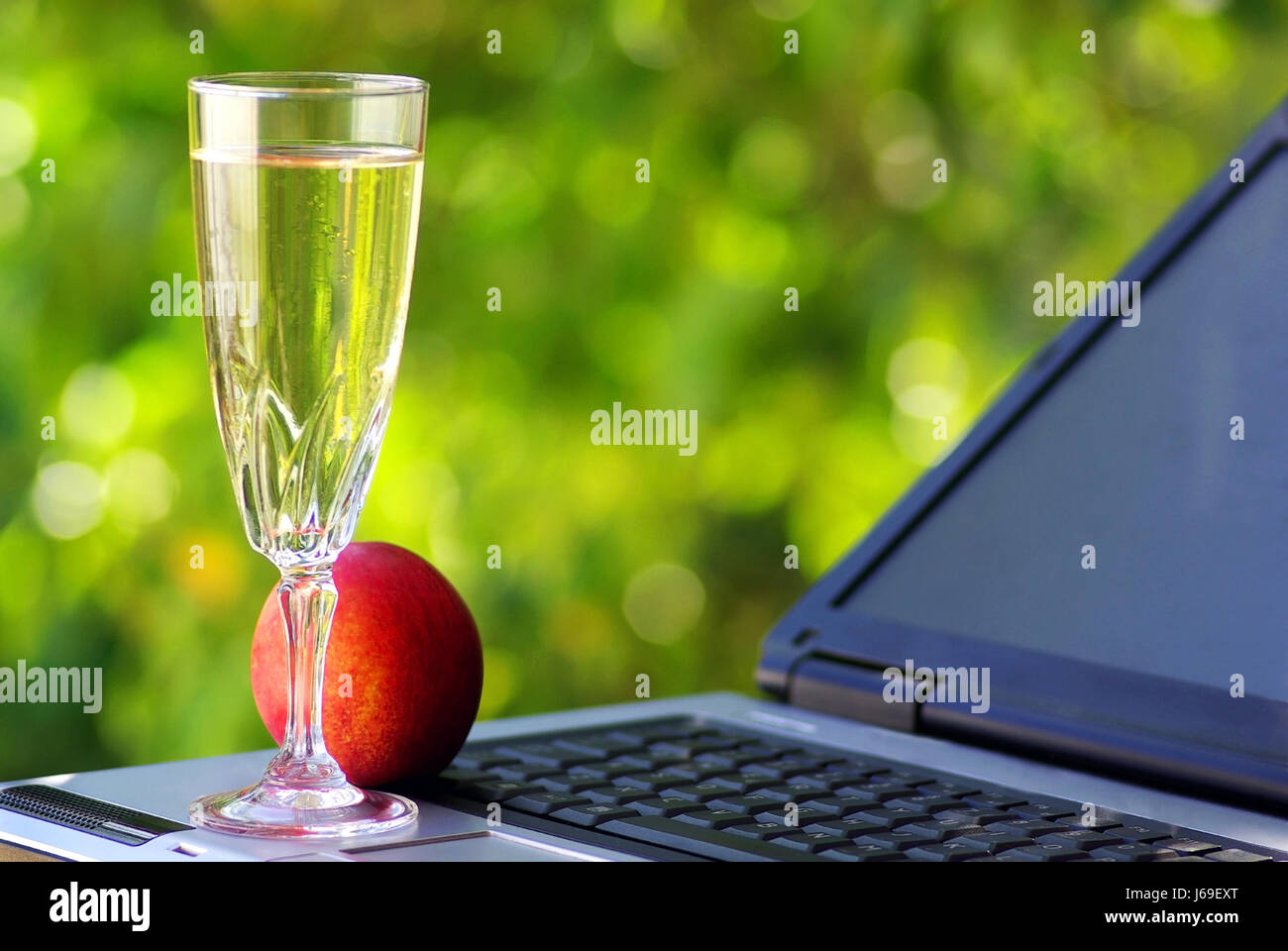 laptop notebook computers computer keyboard wine work factory champagne ...