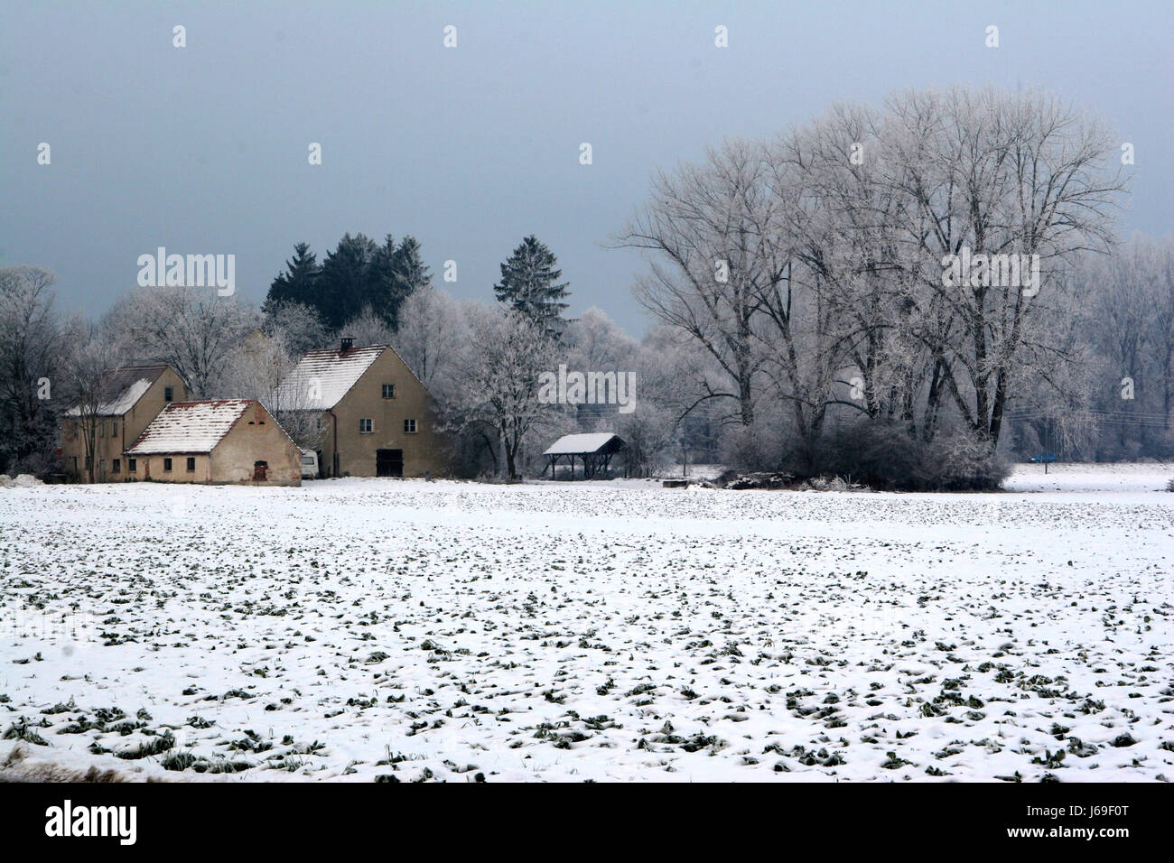tree trees winter agriculture farming bavaria frost acre farm weather ...