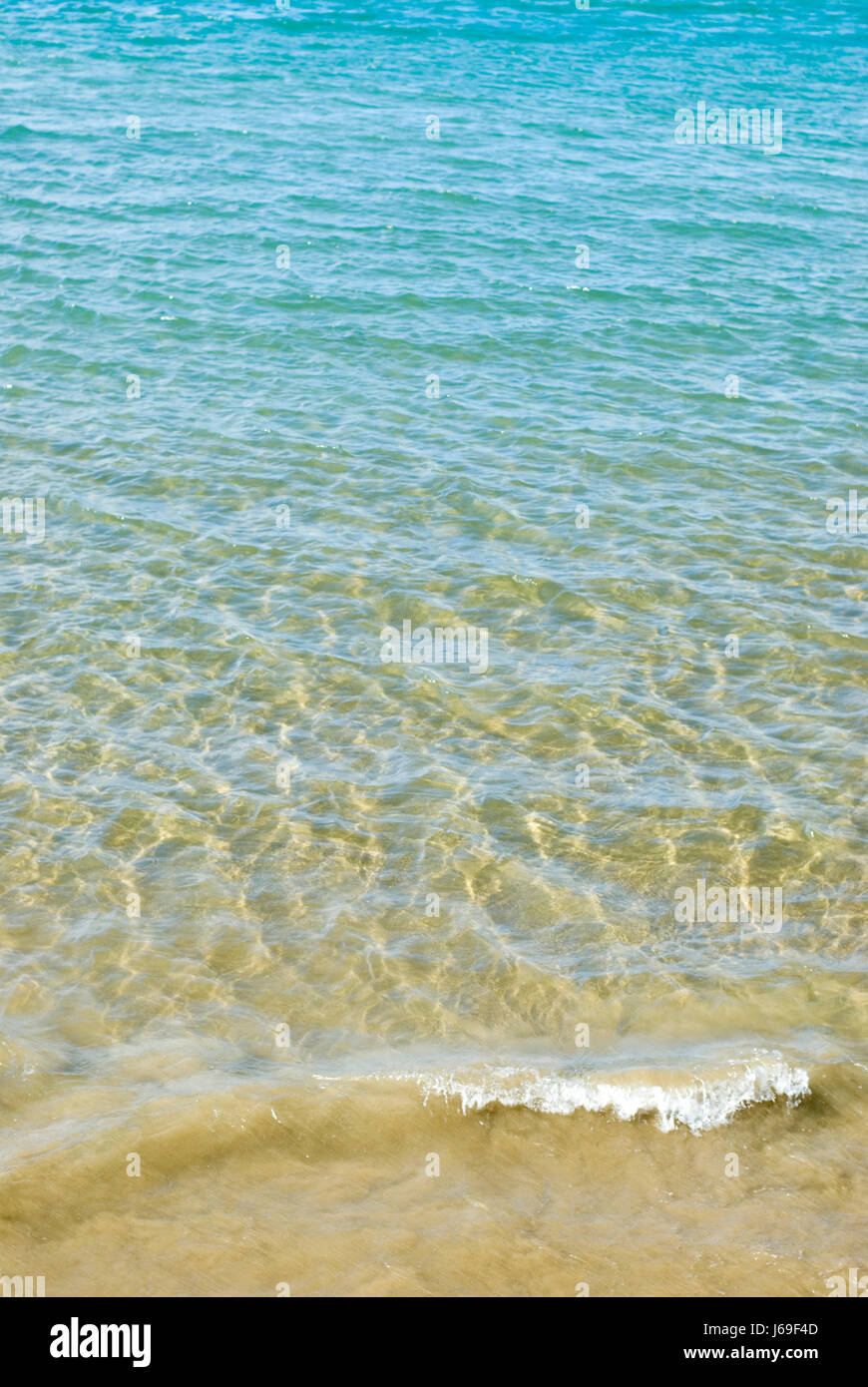 beach seaside the beach seashore wave sands sand shine shines bright ...