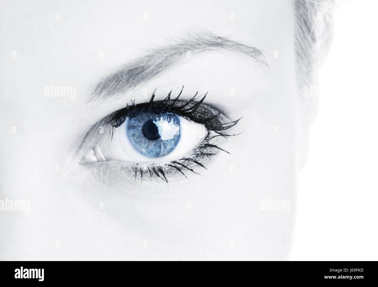 eyes sensual eyelashes beauty dapper accosting pretty prettily prettier ...