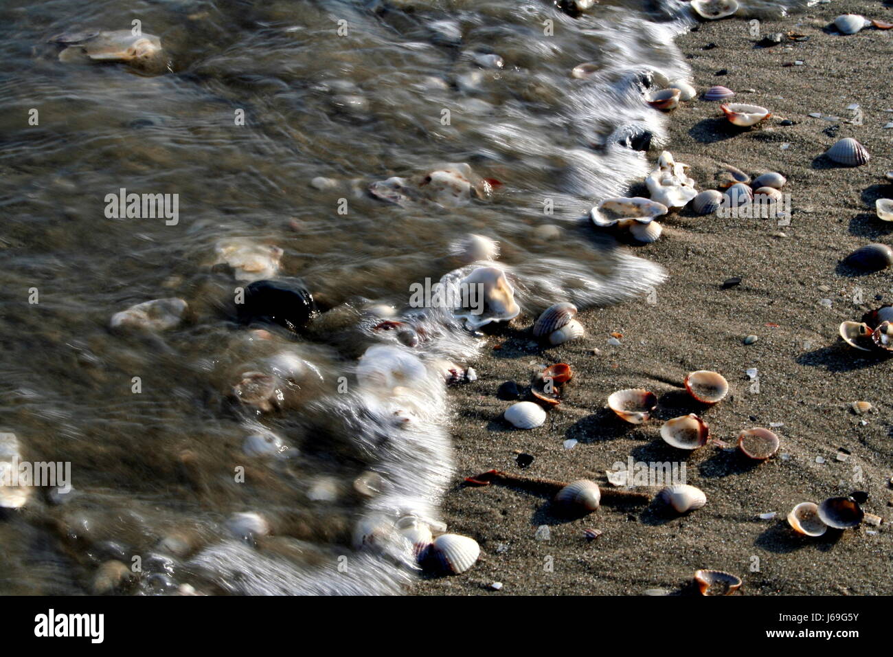 beach seaside the beach seashore holland high tide salt water sea ocean ...