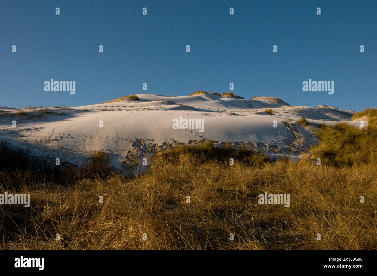 winter cold beach seaside the beach seashore water north sea salt water ...
