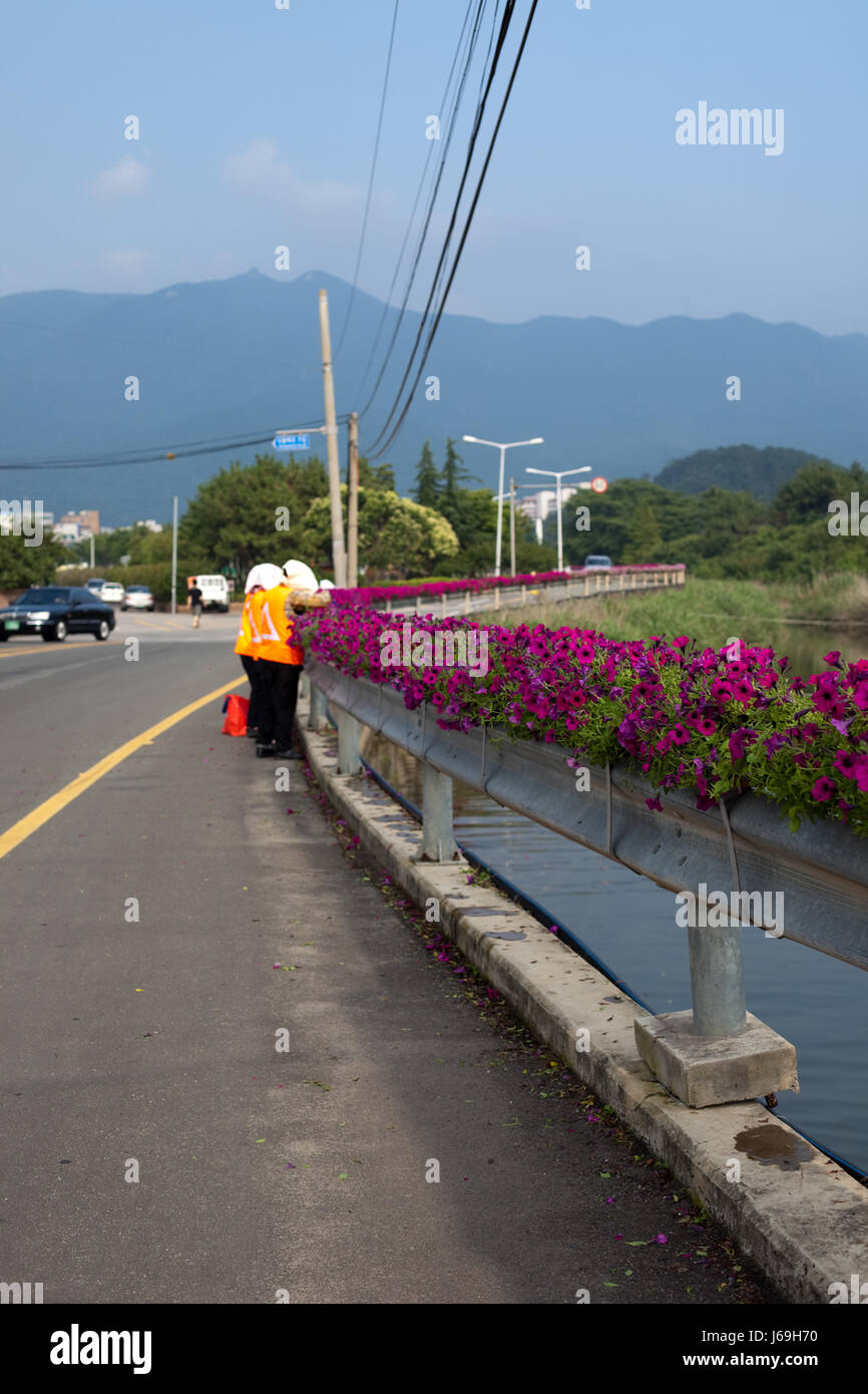 Purple barriers hi-res stock photography and images - Alamy