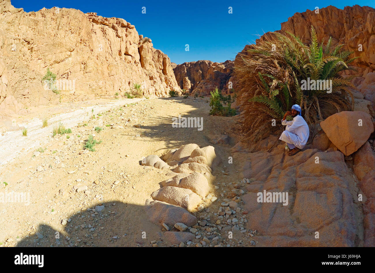 desert wasteland rock egypt Canyon wadi stones desert wasteland rock ...