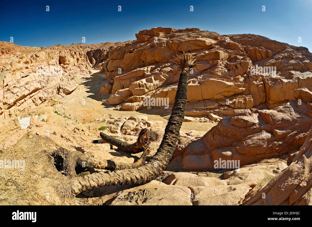 Wadie hi-res stock photography and images - Alamy