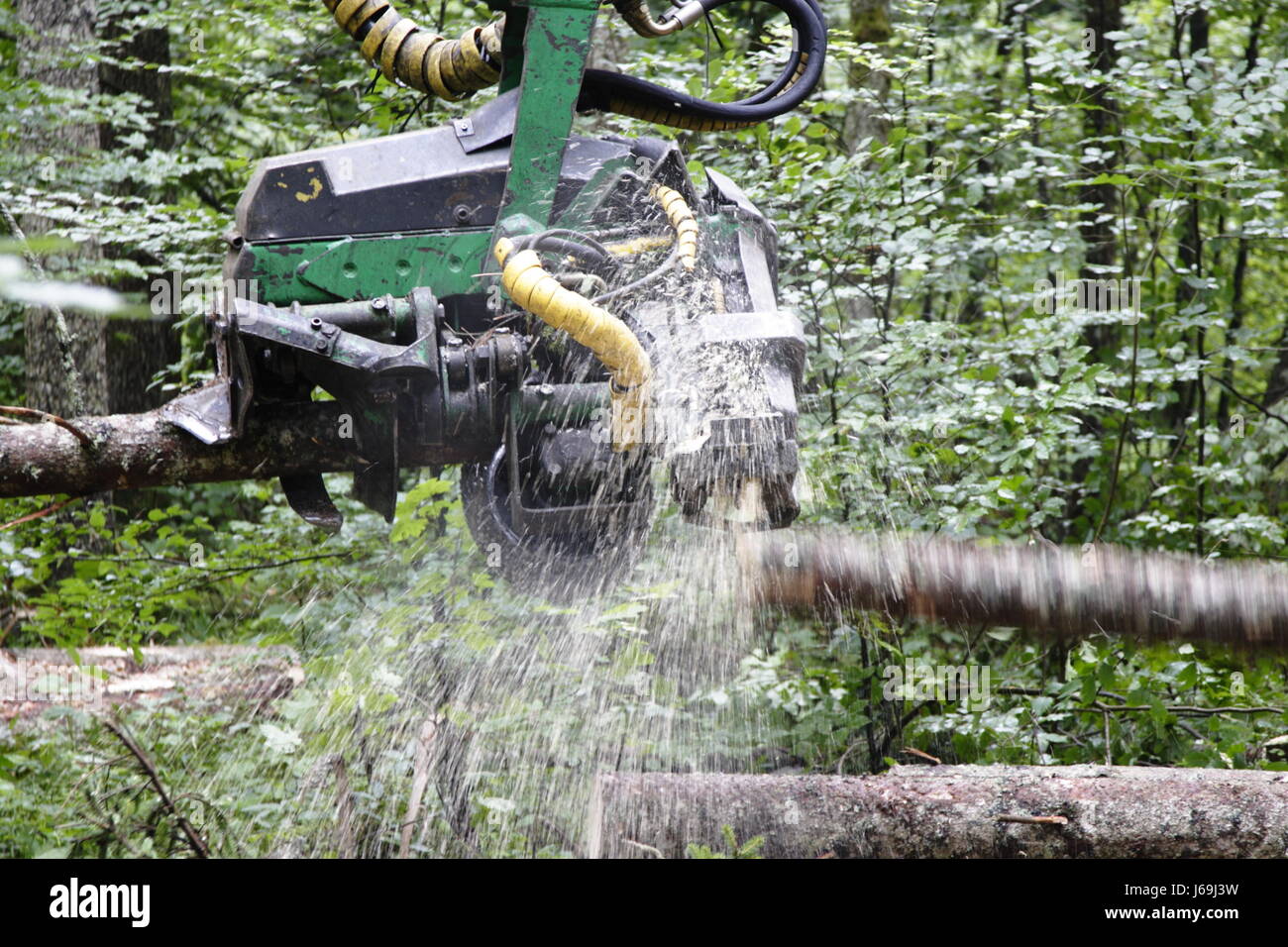 Modern wood processor hi-res stock photography and images - Alamy