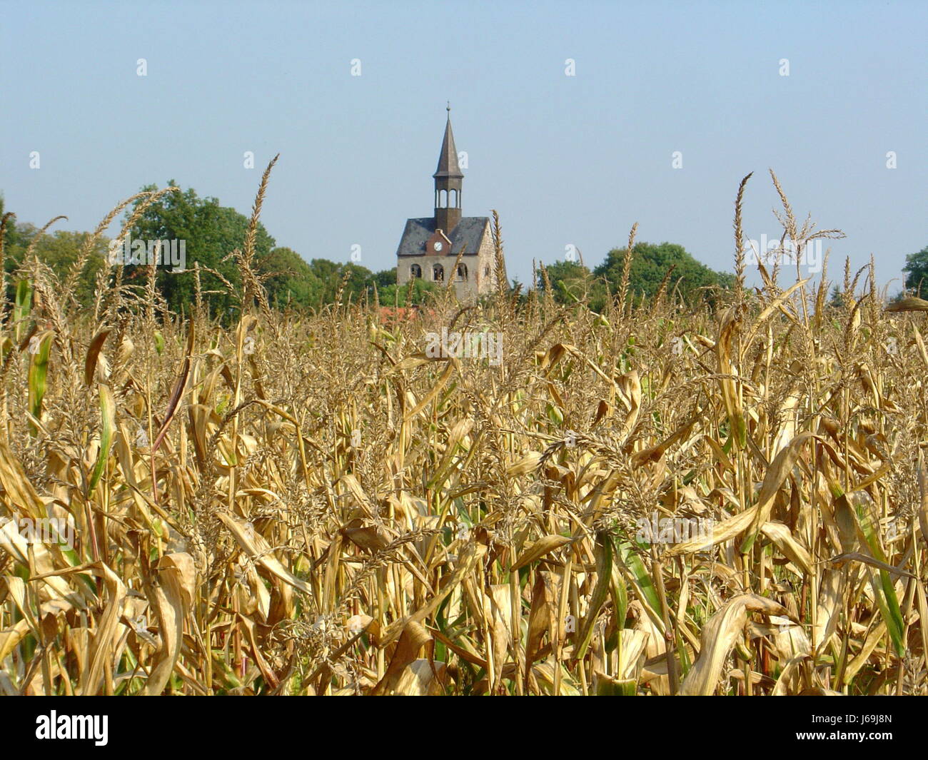 church field corn cornfield community village market town church field ...