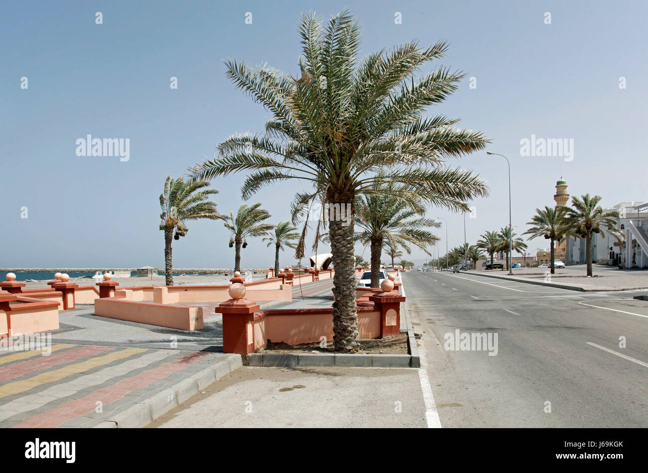 arabia oman beach seaside the beach seashore palms track pavement east ...