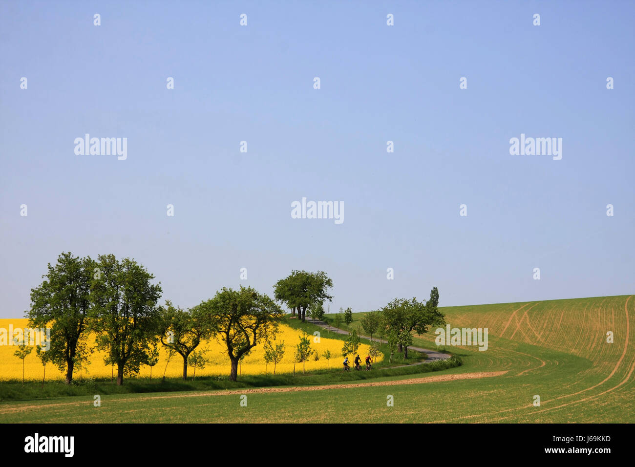 sport sports wheel biker spring path way scenery countryside nature ...