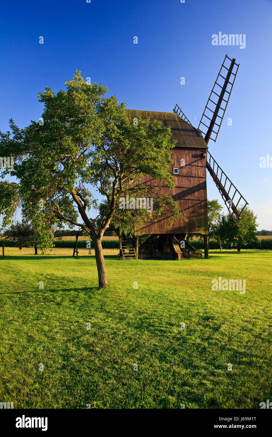 monument tree windmill mill meadow monument tree wood twilight saxony ...