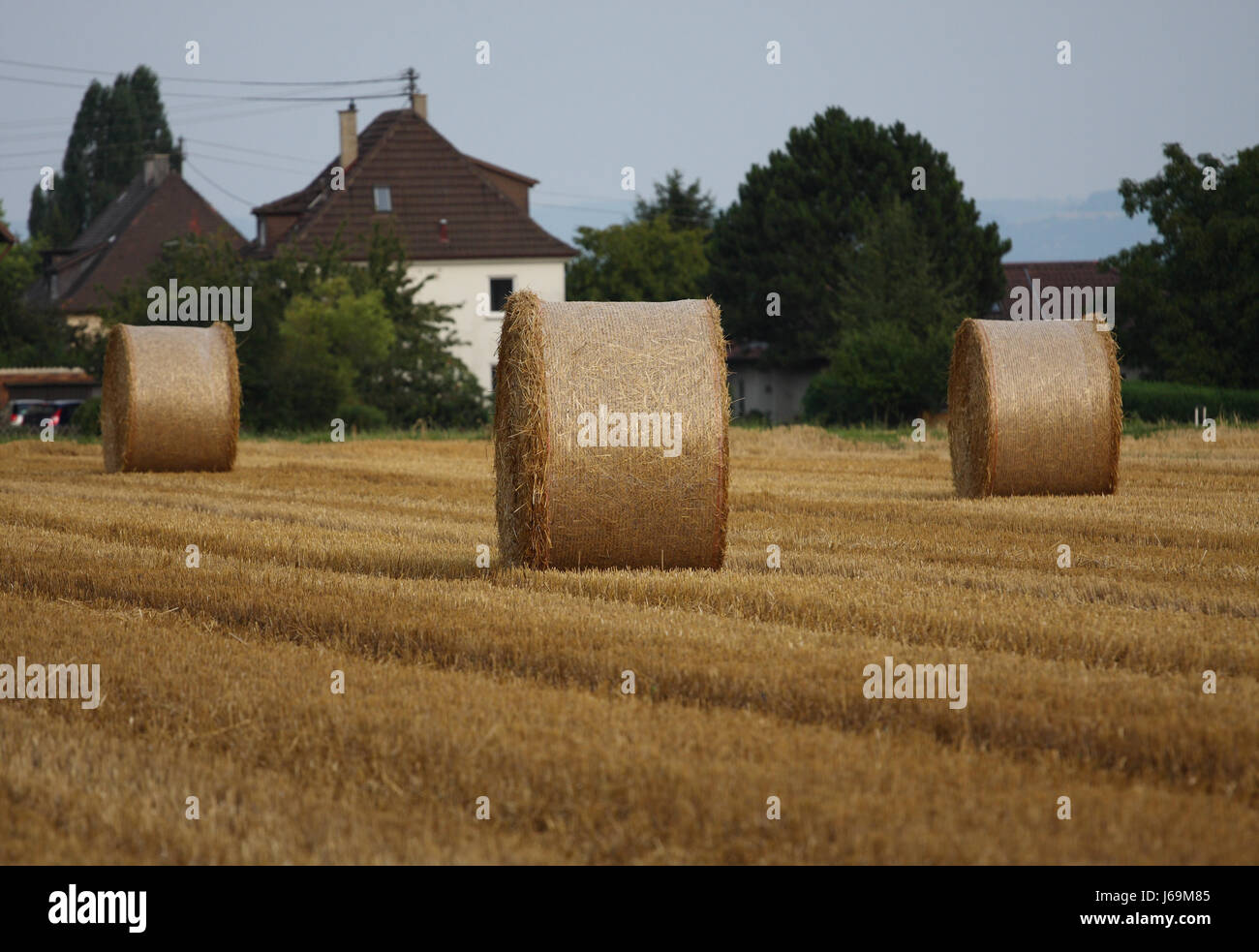 agriculture farming field summer summerly evening hay-clench hay ...