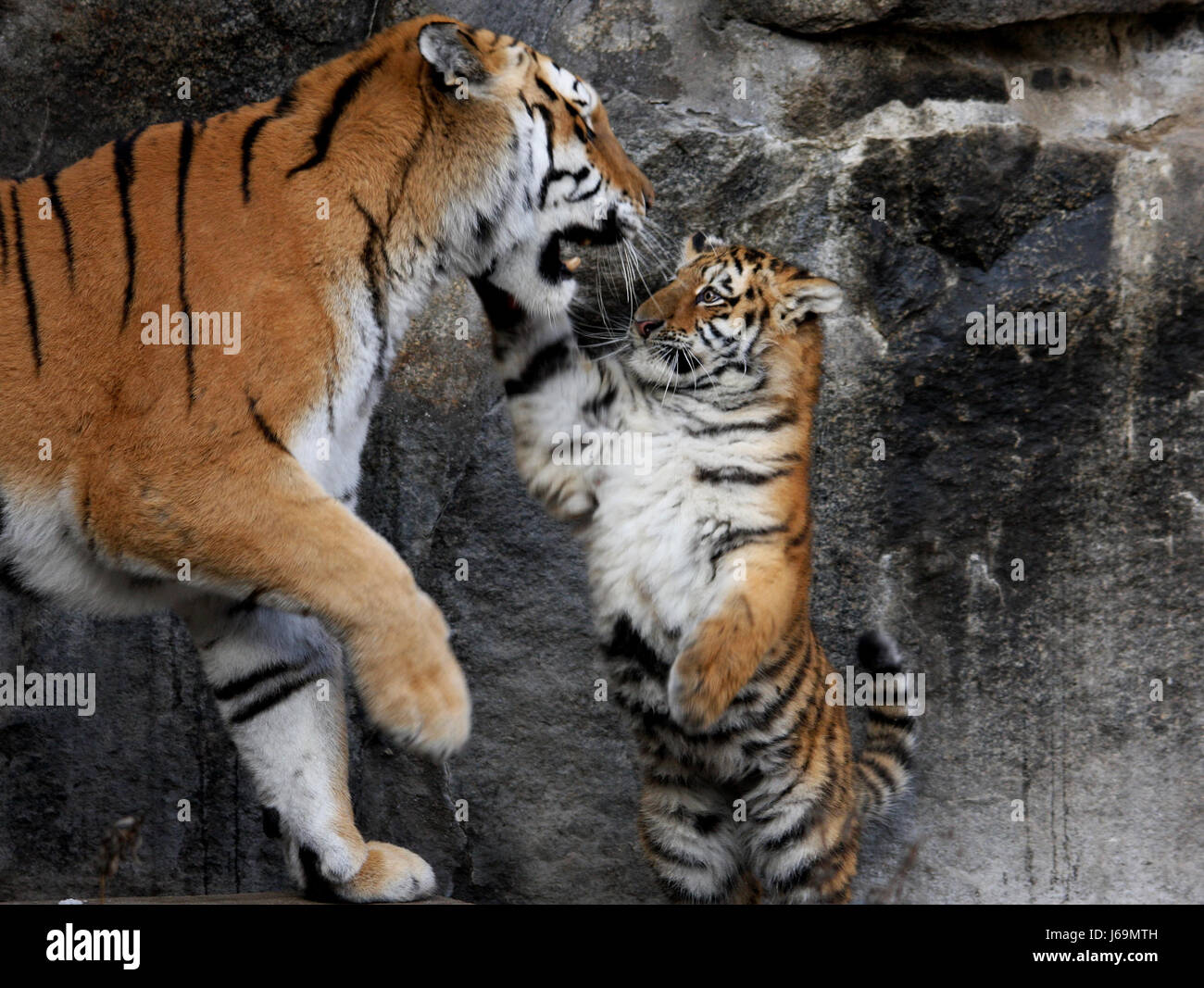 Hiss hi-res stock photography and images - Alamy