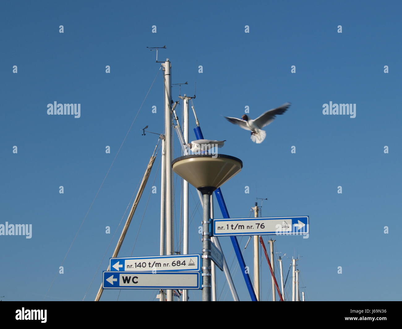 Schildermast hi-res stock photography and images - Alamy