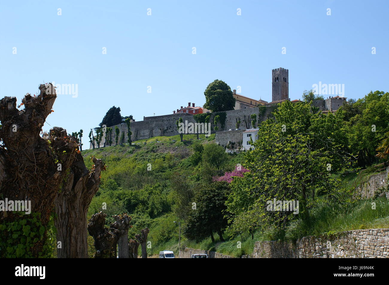 istria city town tree trees istria hinterland scenery countryside ...