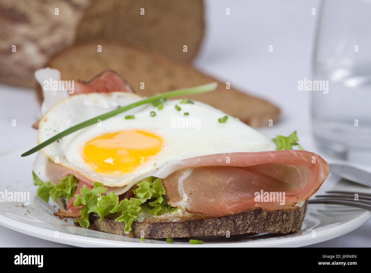 bread egg ham fried egg chives chive bread green disc fork egg ham ...