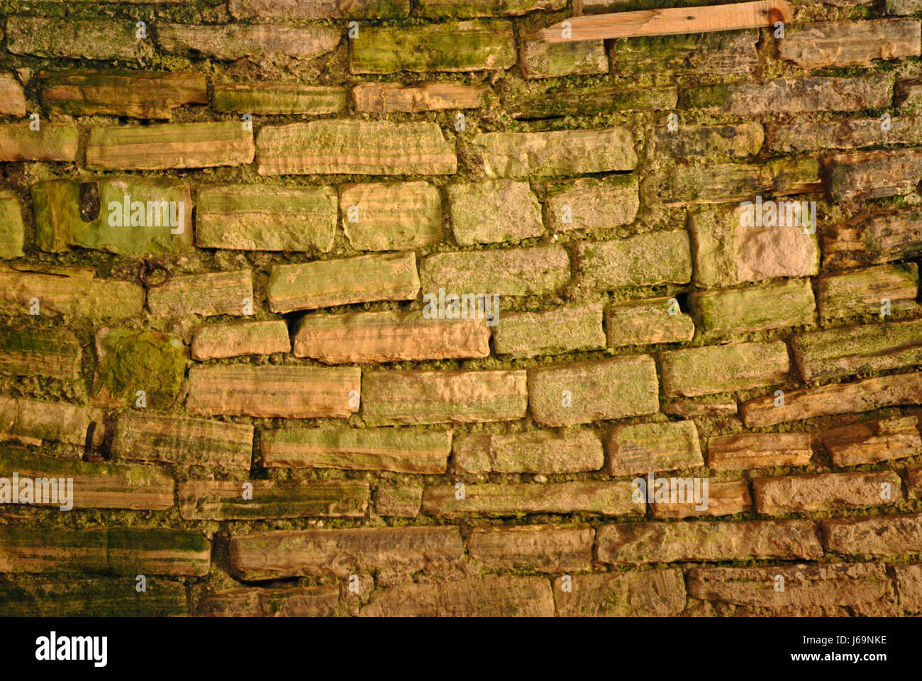 stone wall brick moss building buildings detail stone green wall brick ...