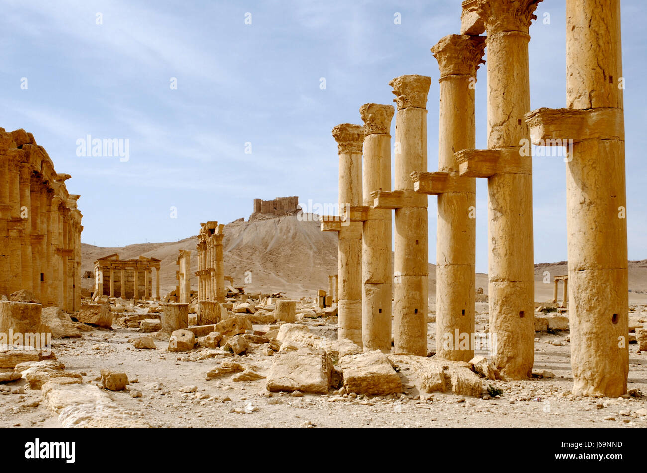 columns antiquity syria monument culture desert wasteland columns ...