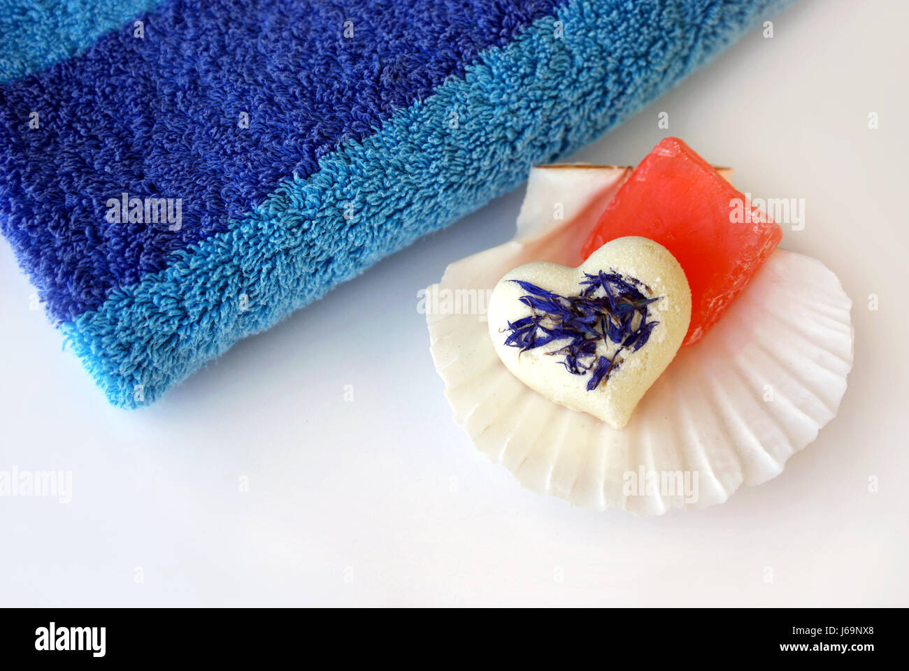 blue shell towel personal care soap blue colour biological wellness ...