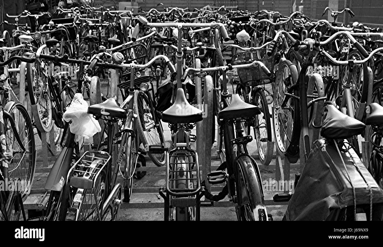confusion mess search mass amsterdam embarrassing bicycles bikes ...