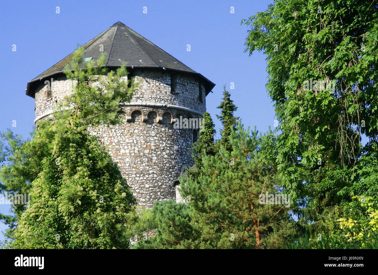 tower historical emblem chateau castle tower historical stone ruins ...