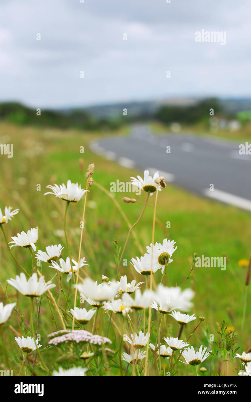 asphalt crooked warped hunchbacked humpbacked bowed bent curved road ...