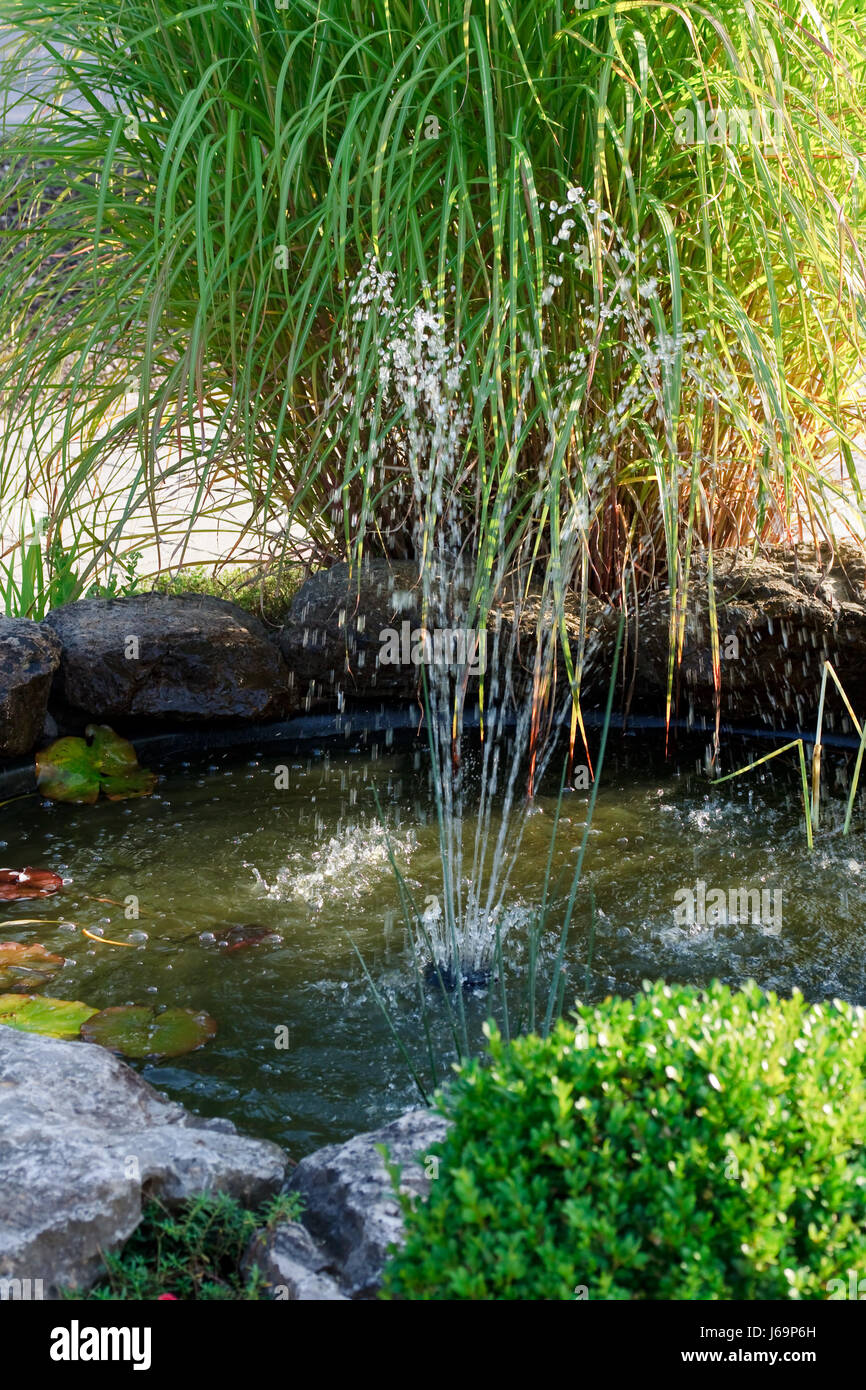 environment enviroment garden flower plant bloom blossom flourish ...