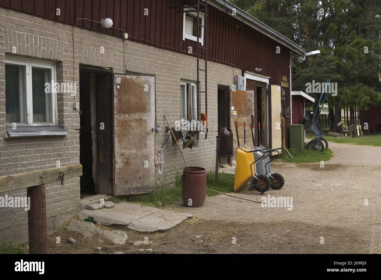 tree trees window porthole dormer window pane horizontal closed ...