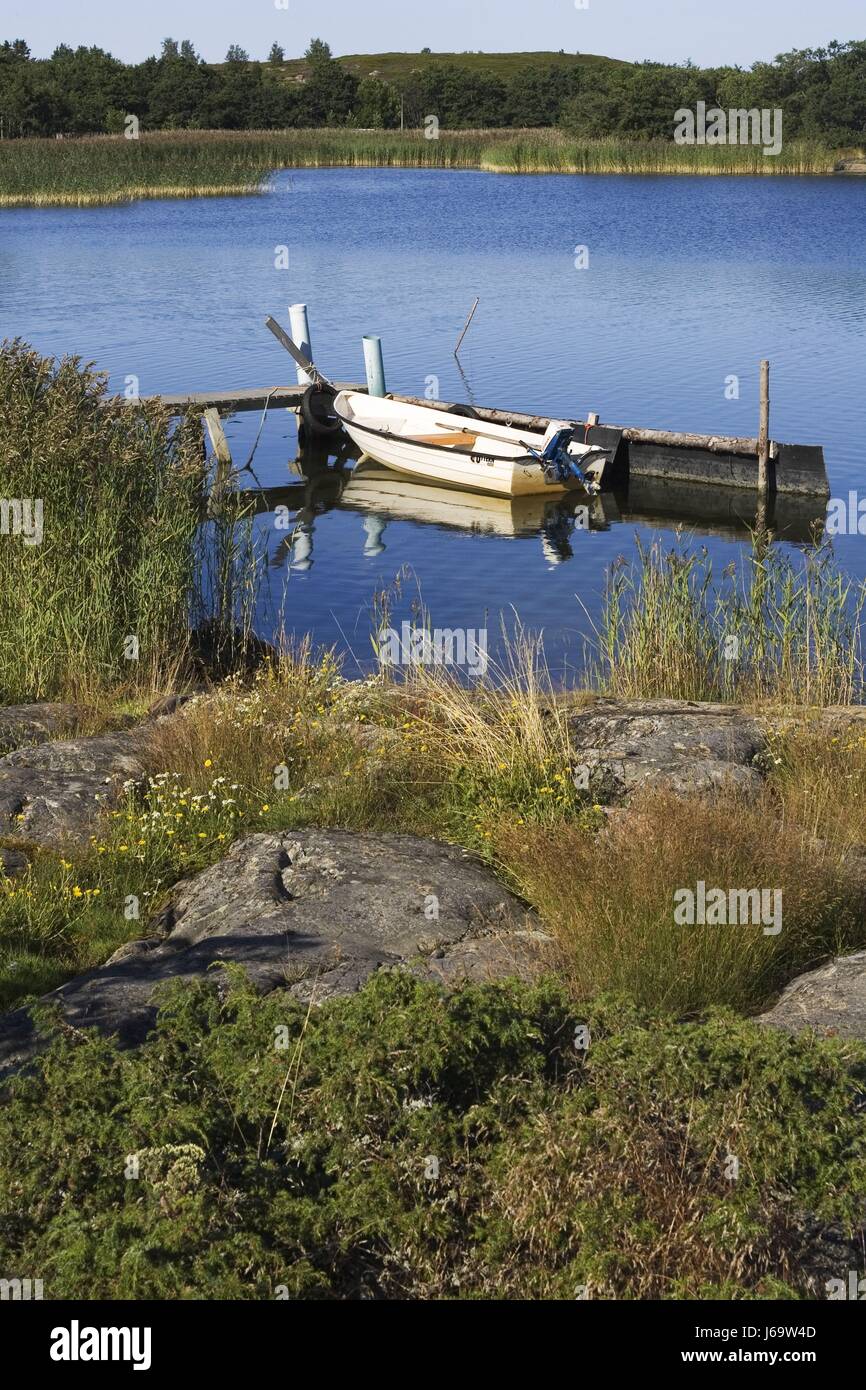 shine shines bright lucent light serene luminous tree trees reflection ...