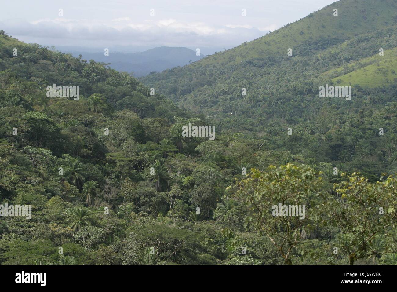 shine shines bright lucent light serene luminous environment enviroment ...