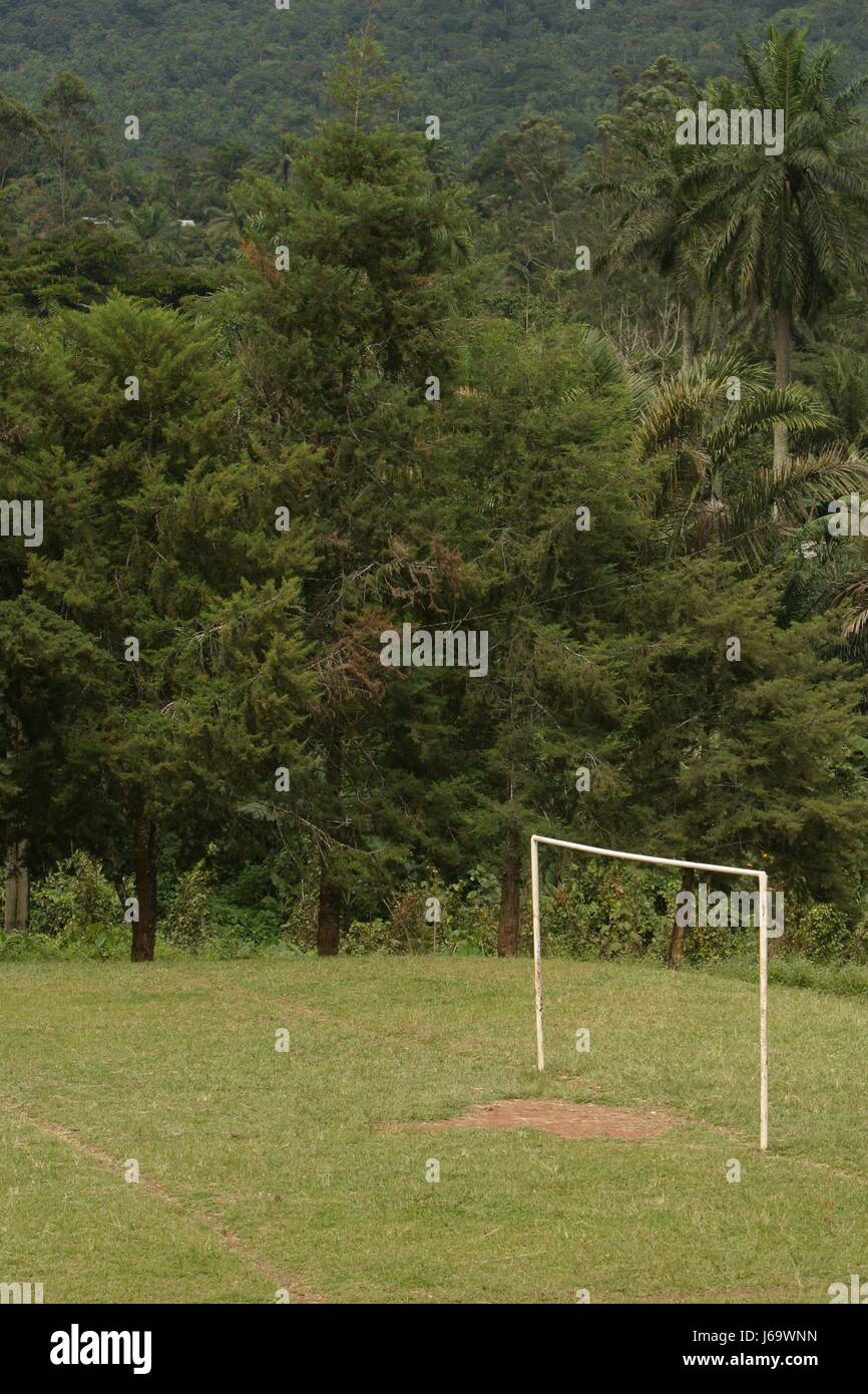 shine shines bright lucent light serene luminous environment enviroment ...