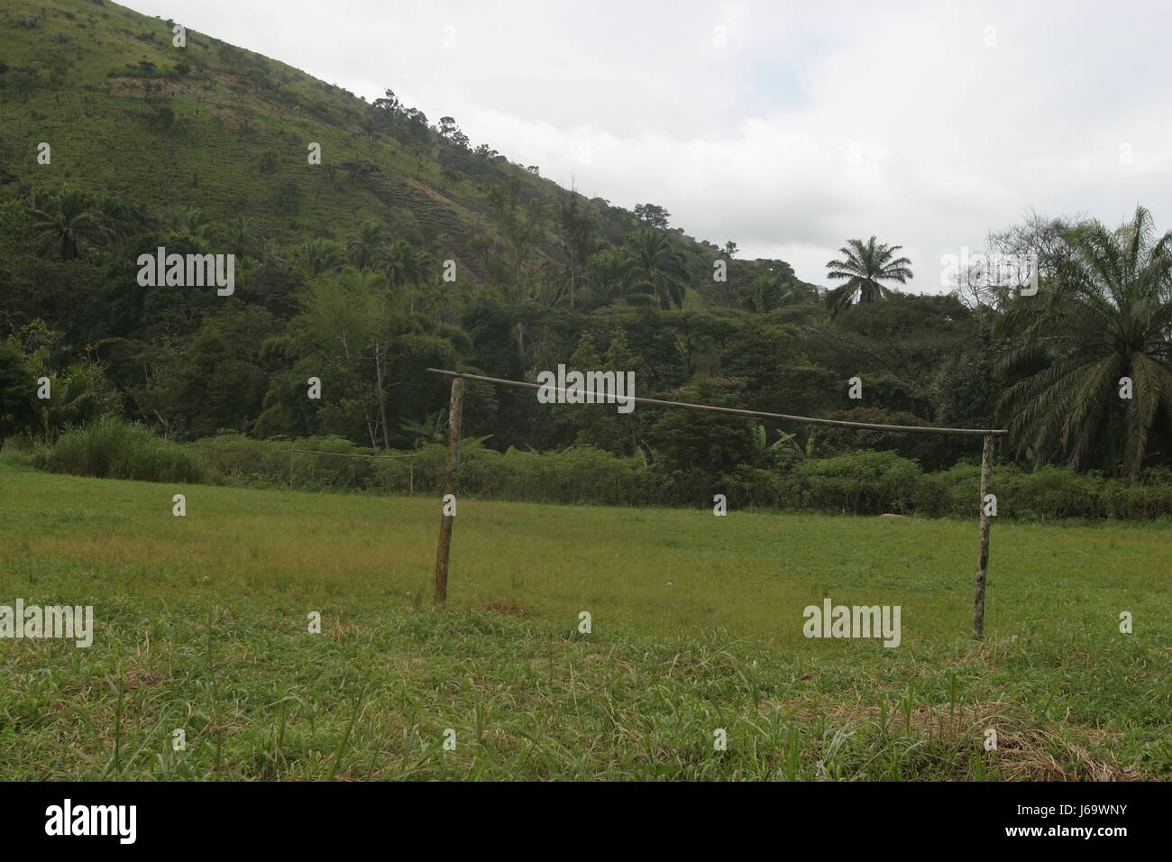 shine shines bright lucent light serene luminous environment enviroment ...