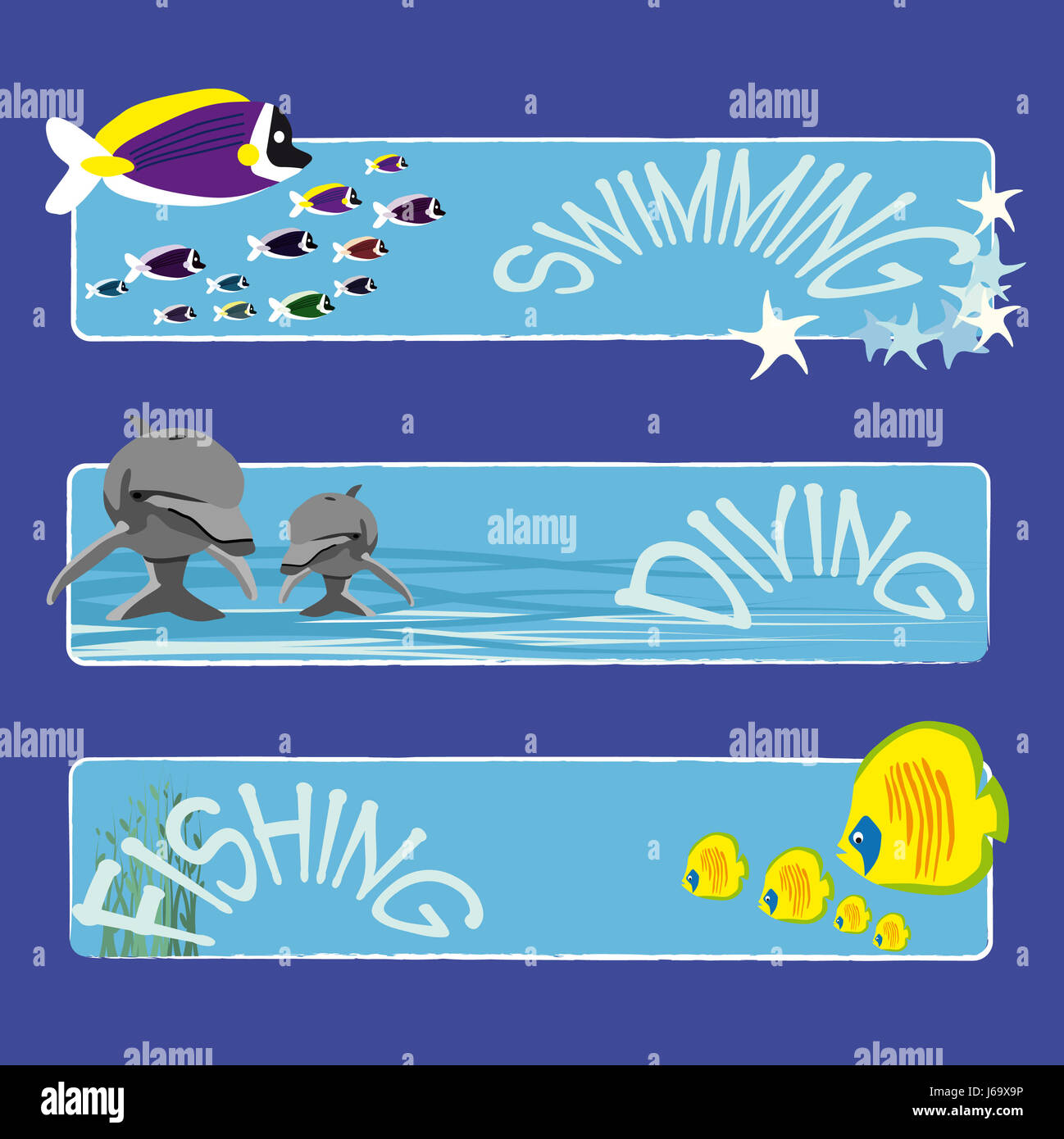 dolphin fishing starfish swimming frame diving framework swiming swim ...
