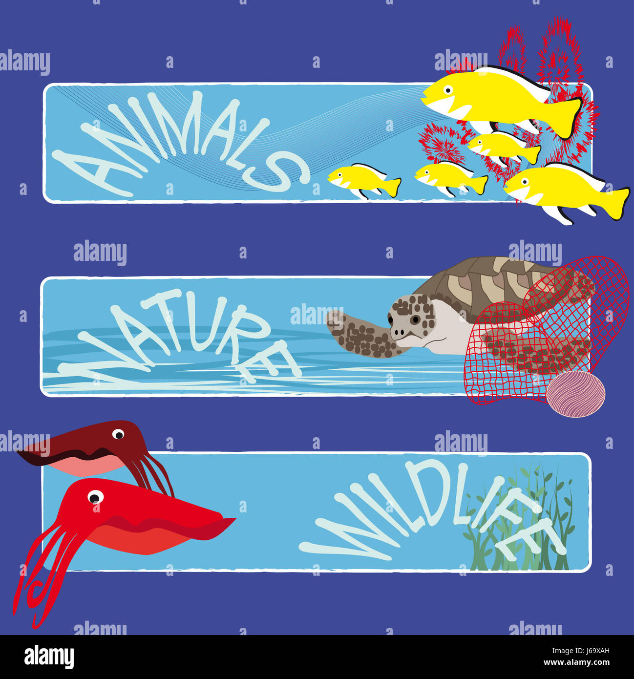 amphibian waves turtle squid frame border framework coral tortoise blue ...