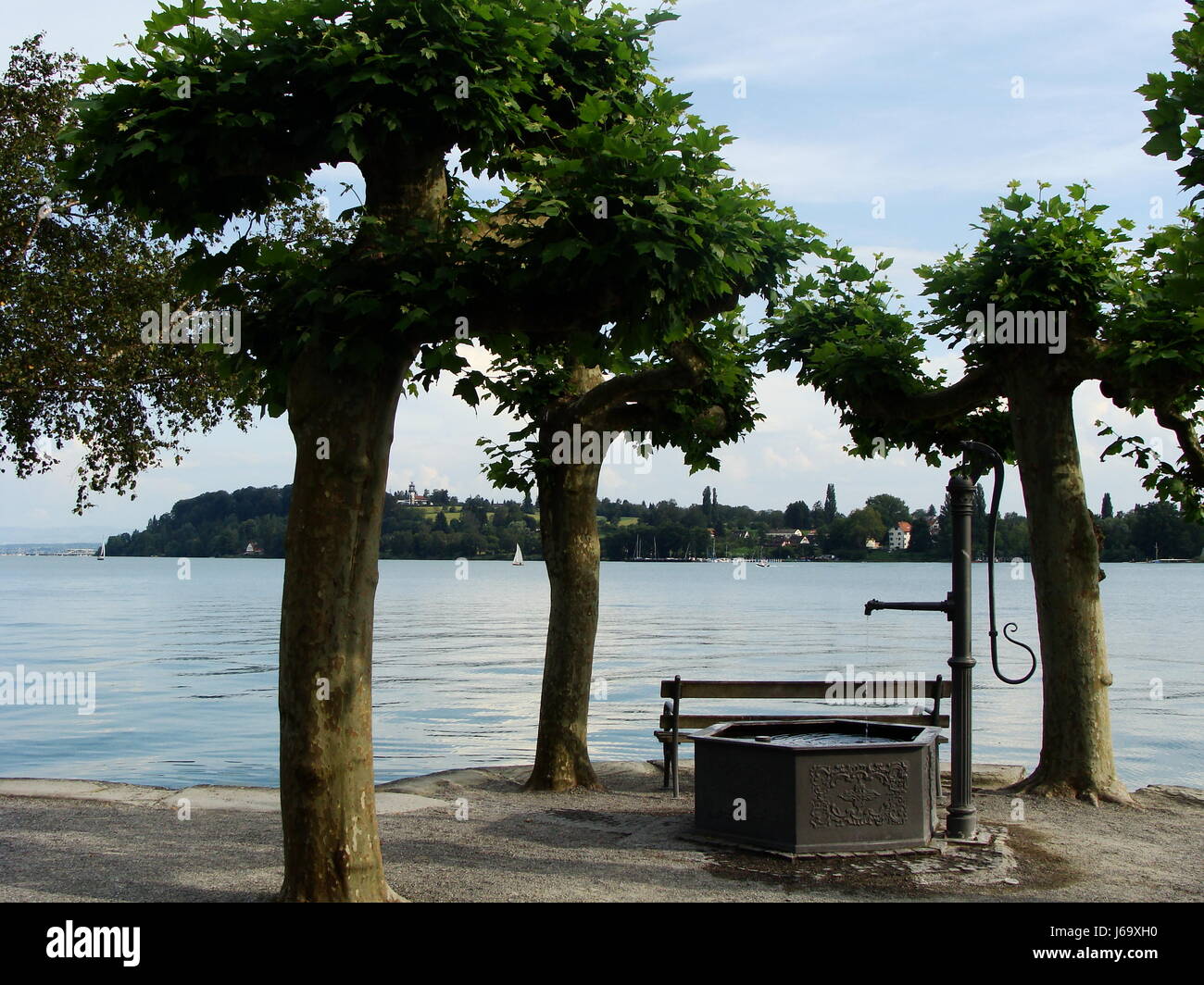 water pump tree summer summerly lake constance fresh water lake inland ...