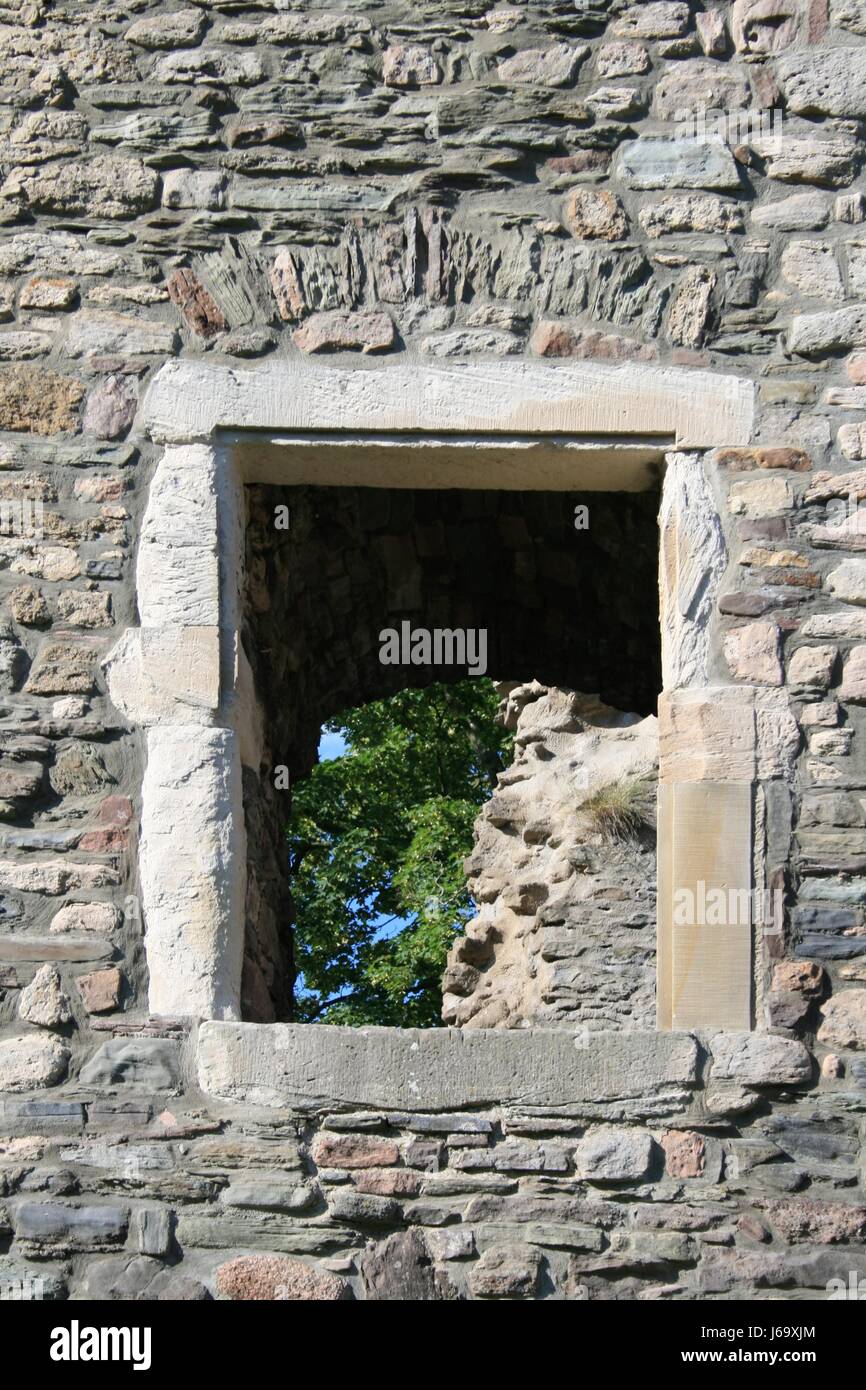 tree window porthole dormer window pane leaves wall ruin idea ...
