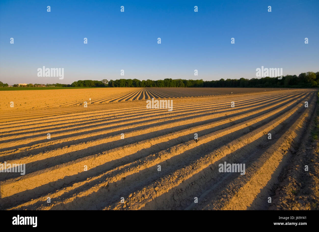 ground soil earth humus field lines dirt plough pattern farmland ...