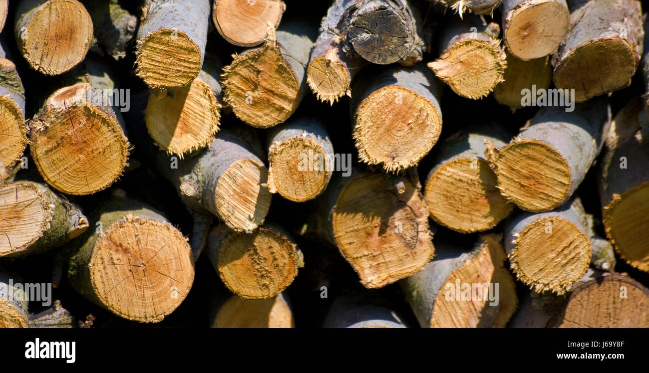 wood cut stack stacked forest nature tree trees abstract design shaping ...