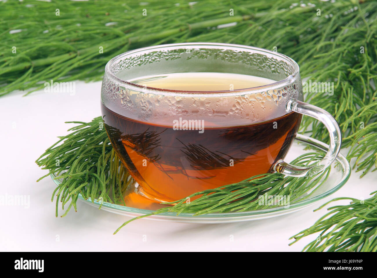 tea horse tail herb tea page sheet cup glass chalice tumbler tea drink ...