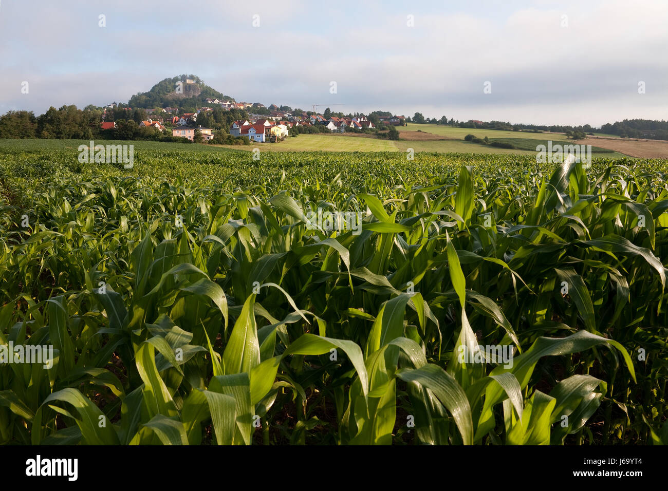 Parkstein hi-res stock photography and images - Alamy