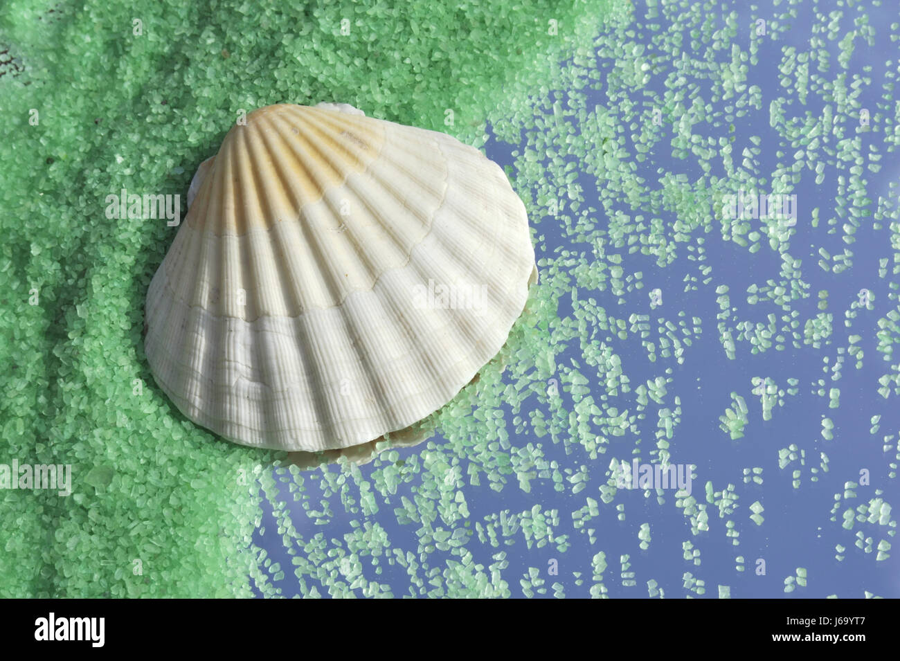 salt shell crystal crystals scallop salts salt health macro close-up ...