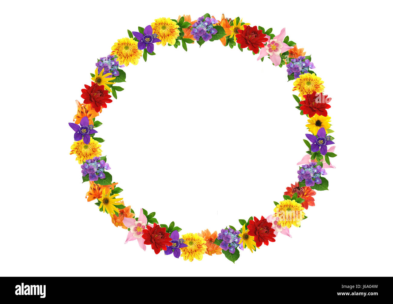 flower flowers plant circle chaplet complete perfect bloom blossom ...